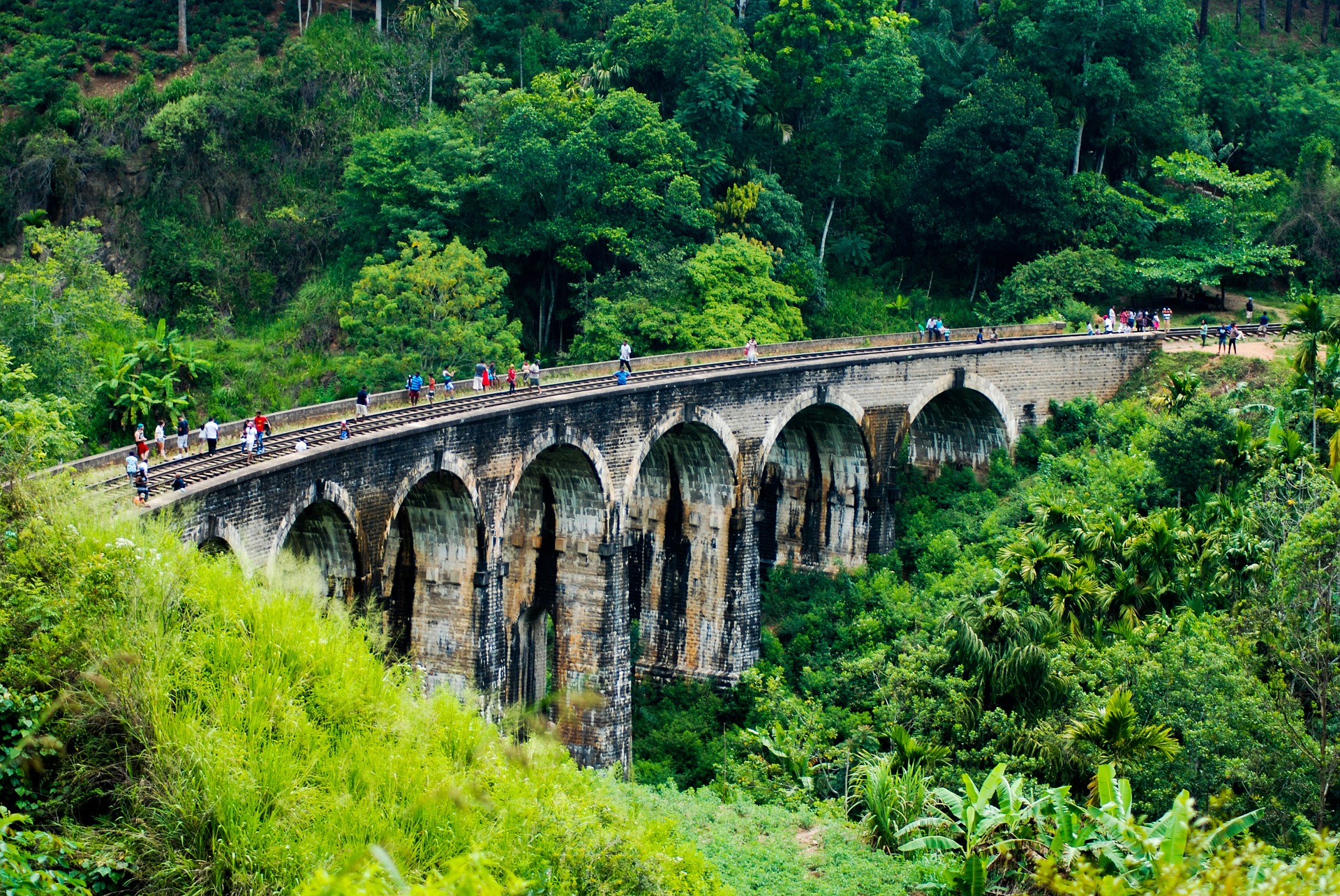 Nine Arch Bridge: The Majestic Guardian of Ella’s Misty Highlands, Sri ...